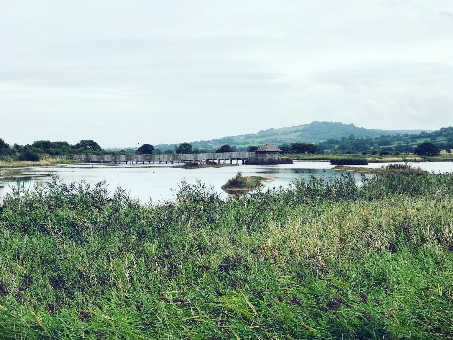 Things To Do In Seaton, Devon - See Stay Explore