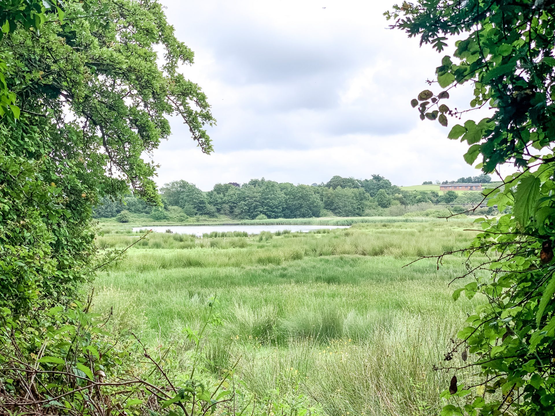 Walks: The Goat Walk, Topsham – See Stay Explore