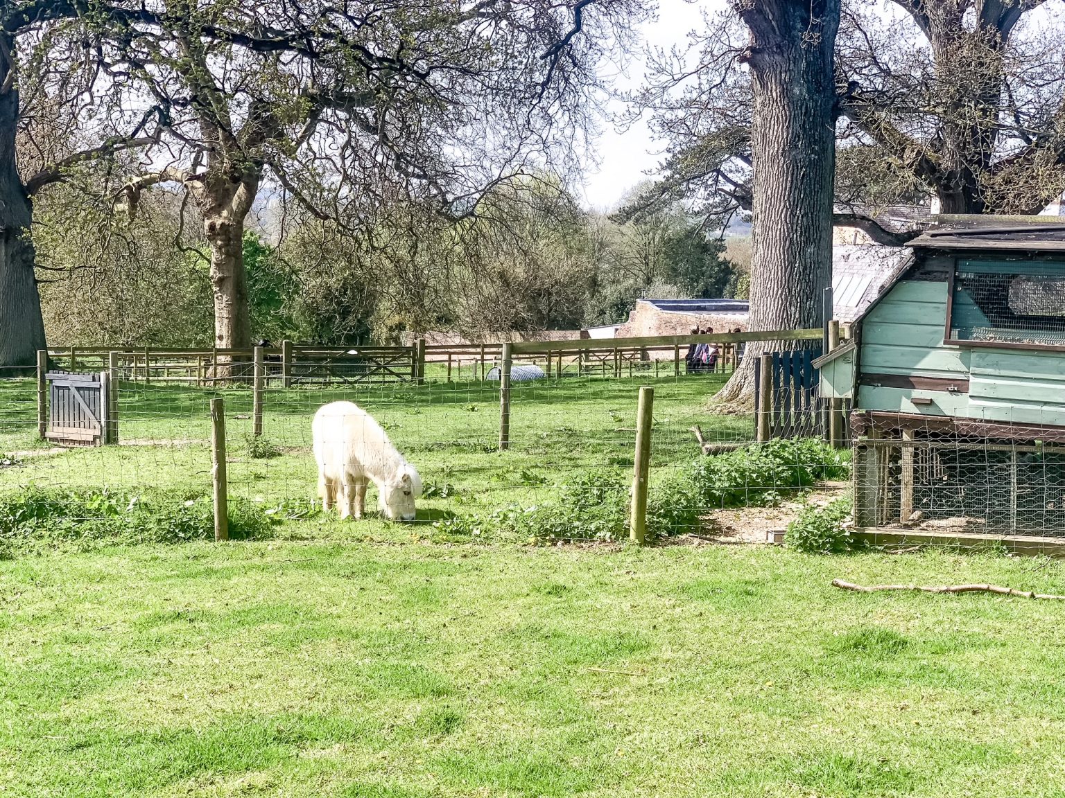 Kingston Maurward Animal Park And Gardens, Dorset – See Stay Explore